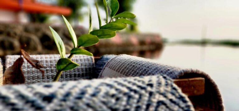 Village Roots - Village Roots